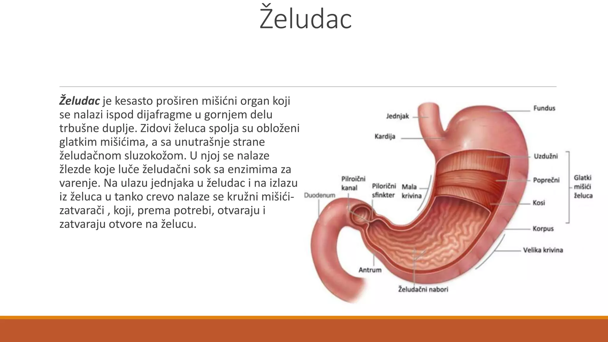 Sistem rogana a varenje VII/1 | PPTX
