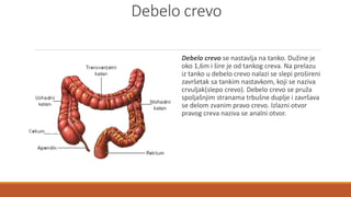 Sistem rogana a varenje VII/1 | PPTX