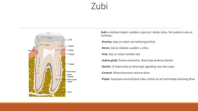 Sistem rogana a varenje VII/1 | PPTX