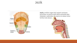 Sistem rogana a varenje VII/1 | PPTX