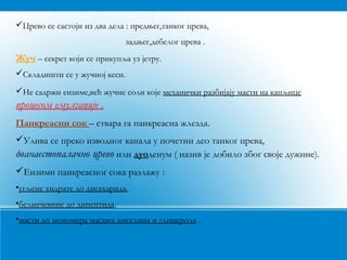 Digestivni trakt | PPT