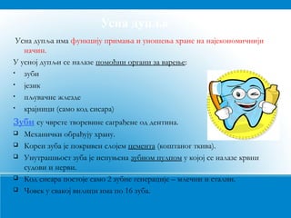 Digestivni trakt | PPT