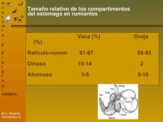 Digestivo | PPT
