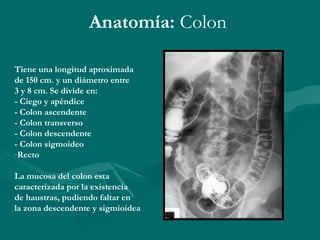 Digestivo iii 2da parte | PPT