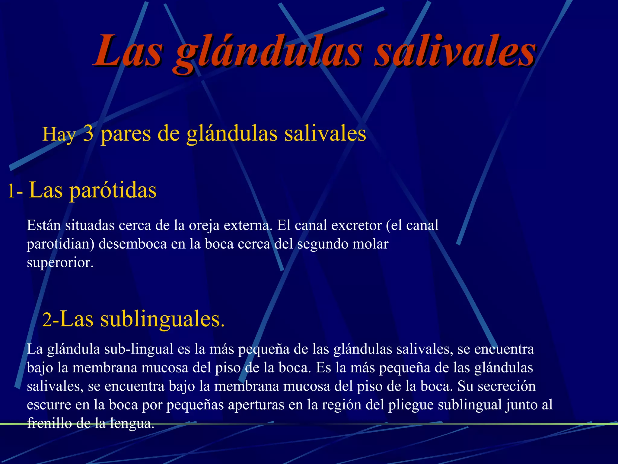 Digestivo y excretor | PPT