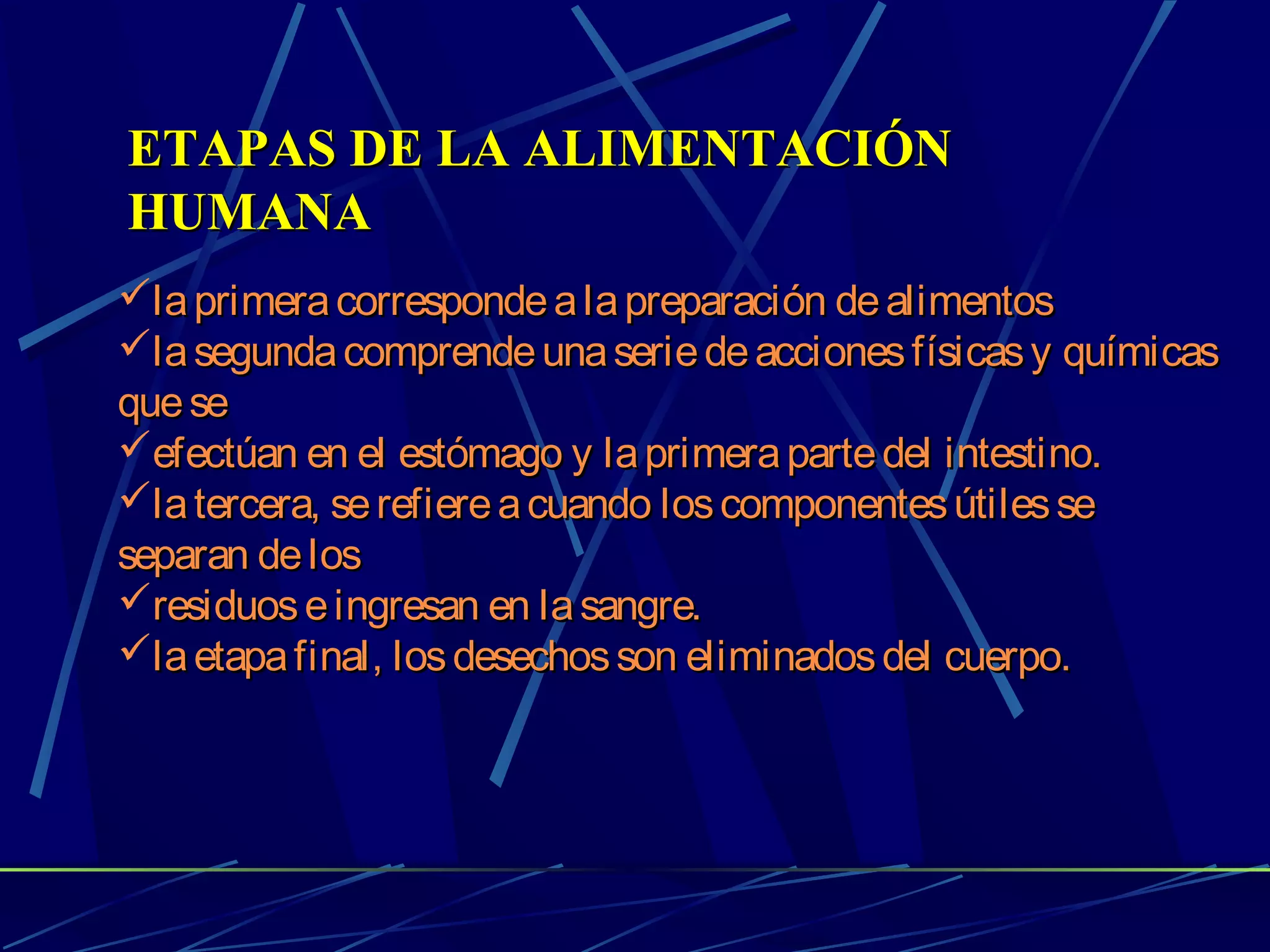 Digestivo y excretor | PPT