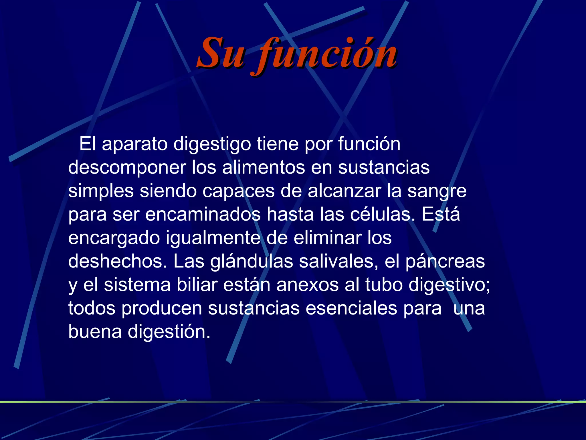 Digestivo y excretor | PPT