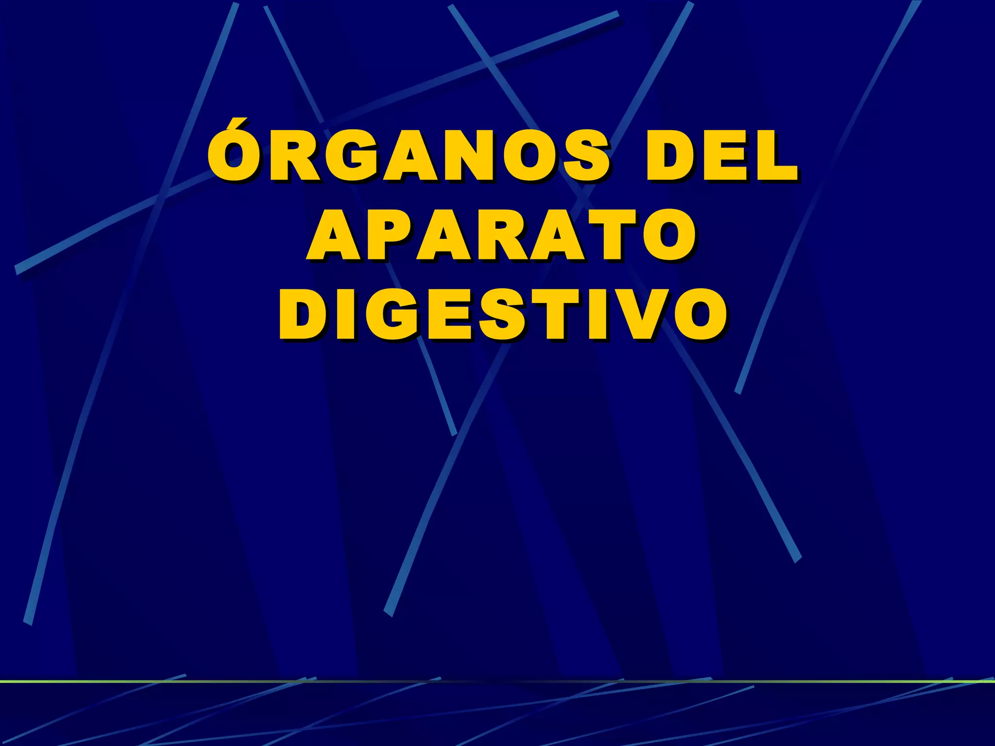 Digestivo y excretor | PPT