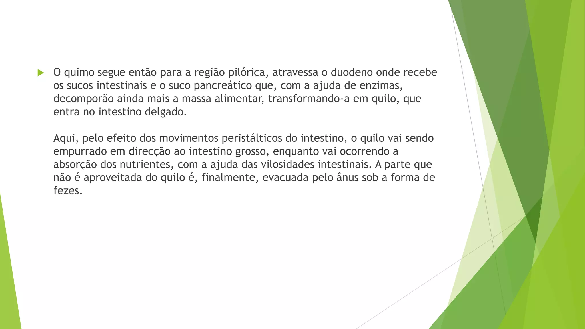 Digestão intracelular e extracelular | PPTX