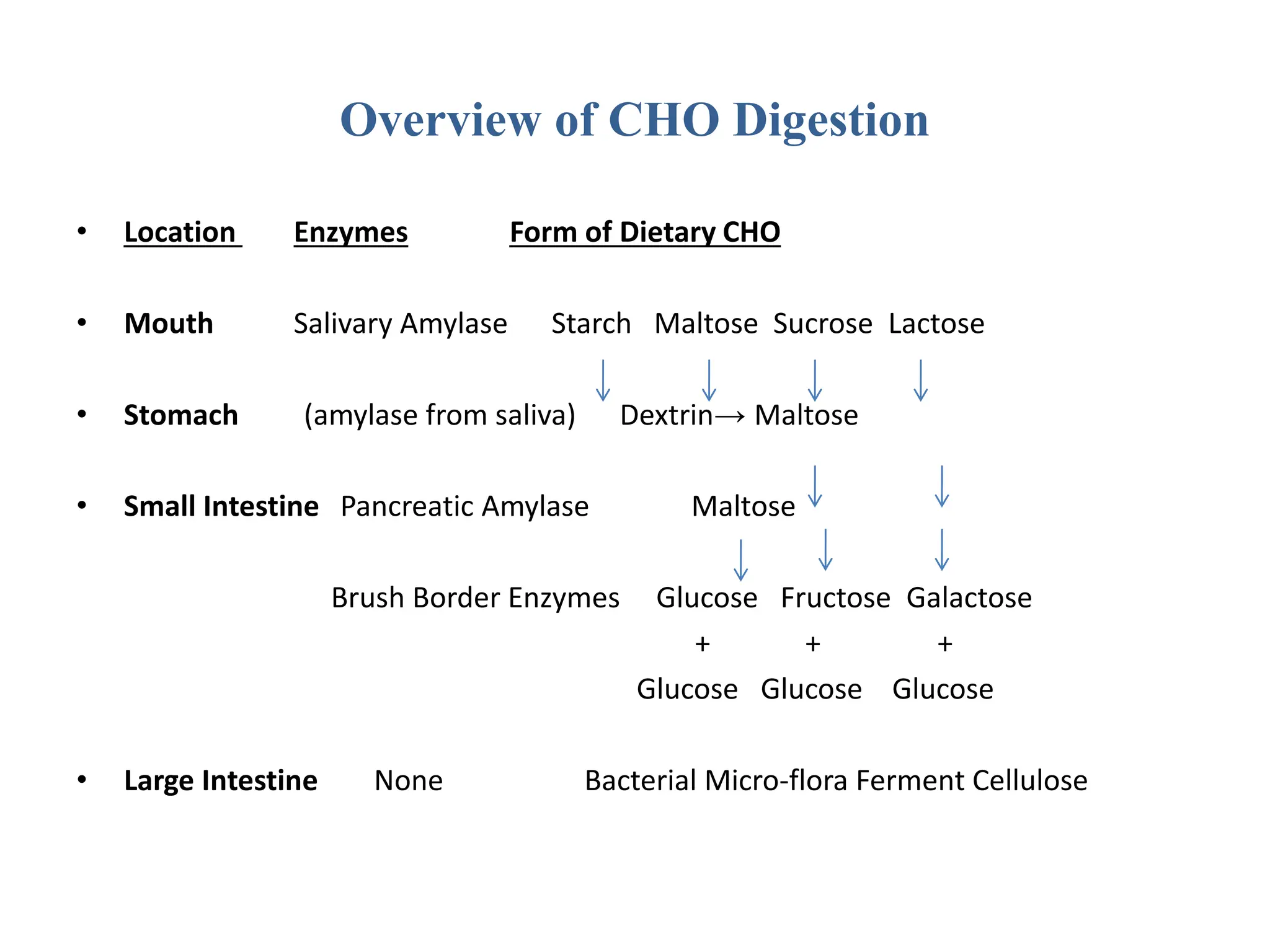 Digestive System of Non-Ruminant animals.pptx
