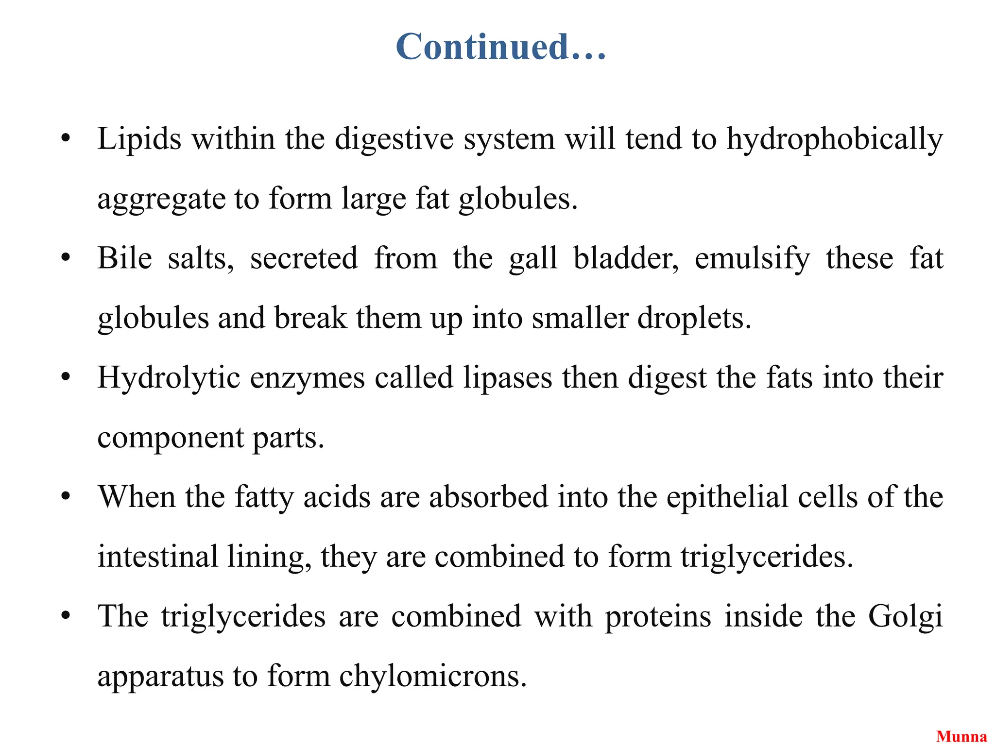 Digestive System of Non-Ruminant animals.pptx