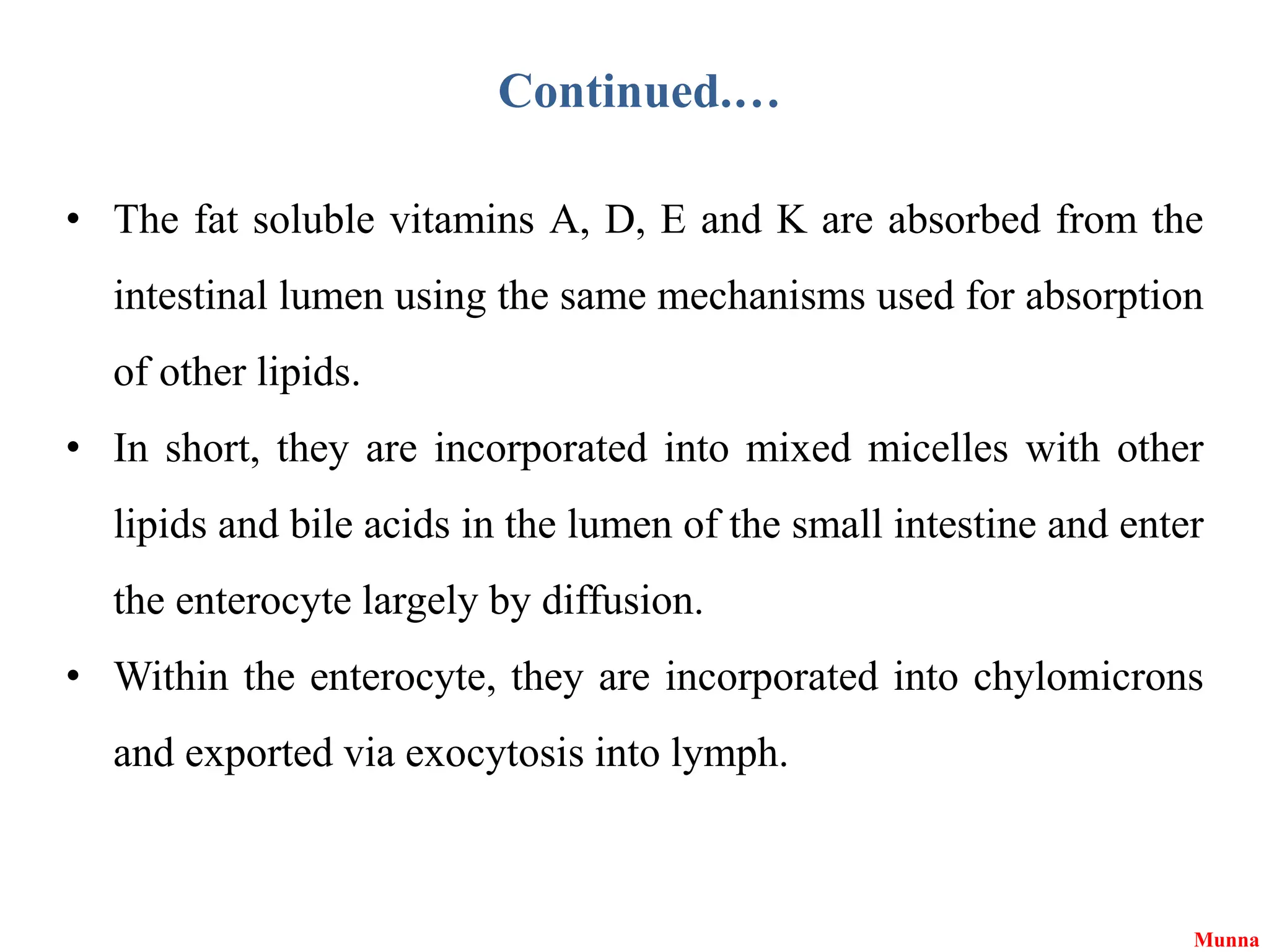 Digestive System of Non-Ruminant animals.pptx