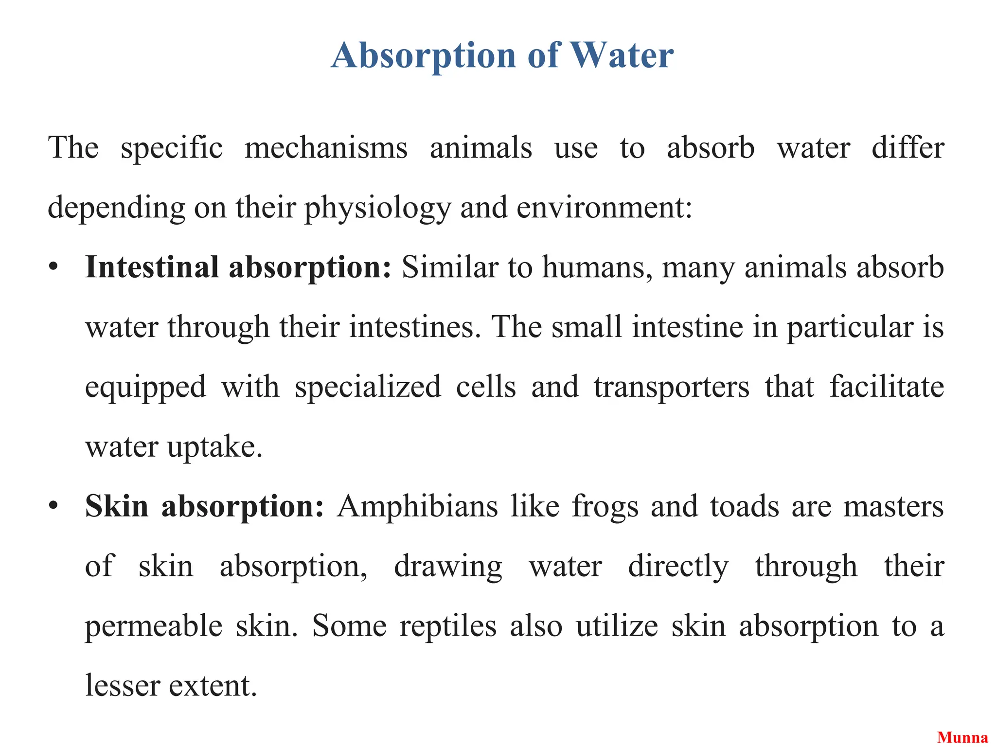 Digestive System of Non-Ruminant animals.pptx