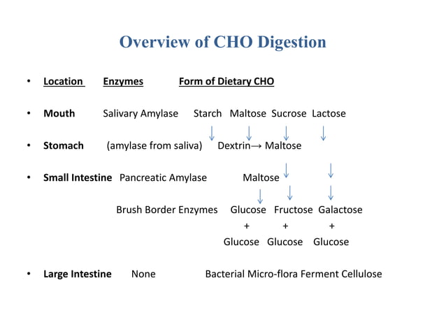Digestive System of Non-Ruminant animals.pptx