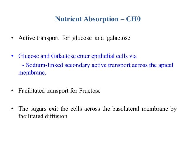 Digestive System of Non-Ruminant animals.pptx