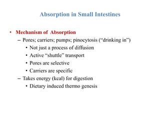 Digestive System of Non-Ruminant animals.pptx