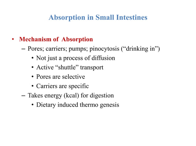 Digestive System of Non-Ruminant animals.pptx