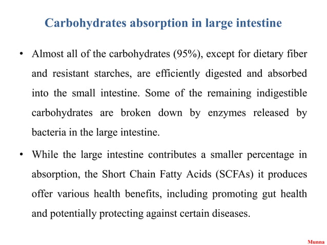 Digestive System of Non-Ruminant animals.pptx
