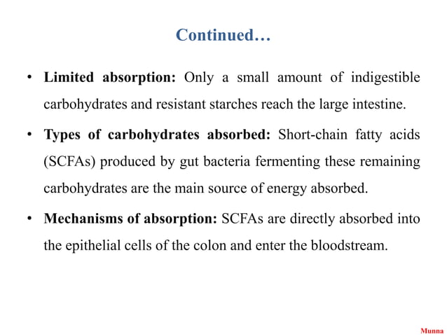 Digestive System of Non-Ruminant animals.pptx