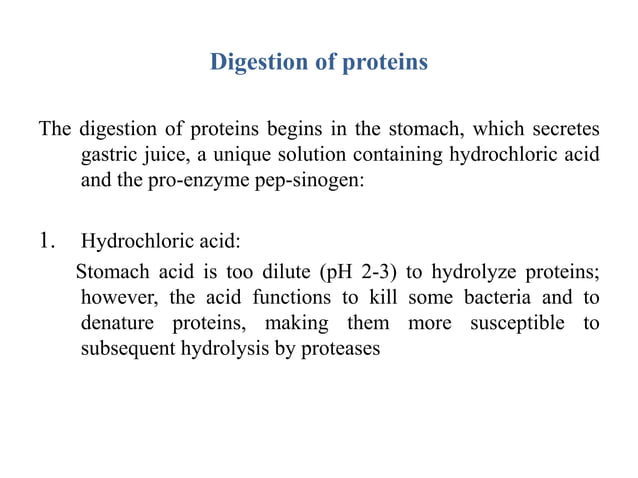 Digestive System of Non-Ruminant animals.pptx