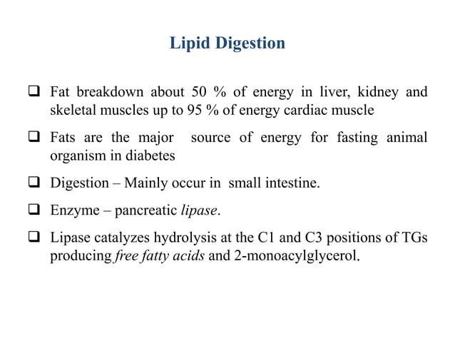 Digestive System of Non-Ruminant animals.pptx
