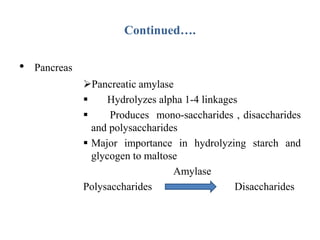 Digestive System of Non-Ruminant animals.pptx