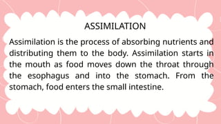 Digestuve system part two of 3rd quarter.pptx