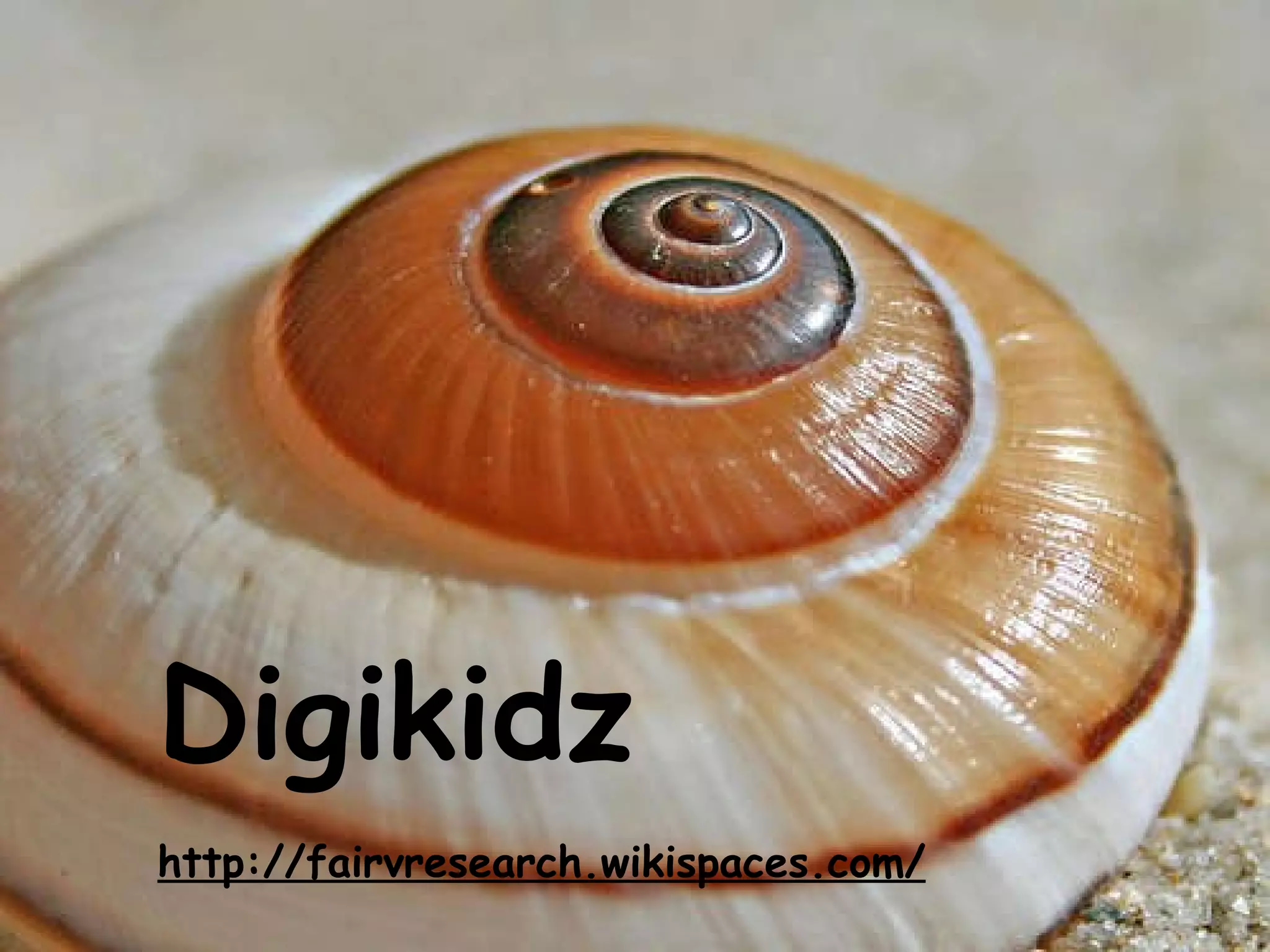 Digikidz | PPT