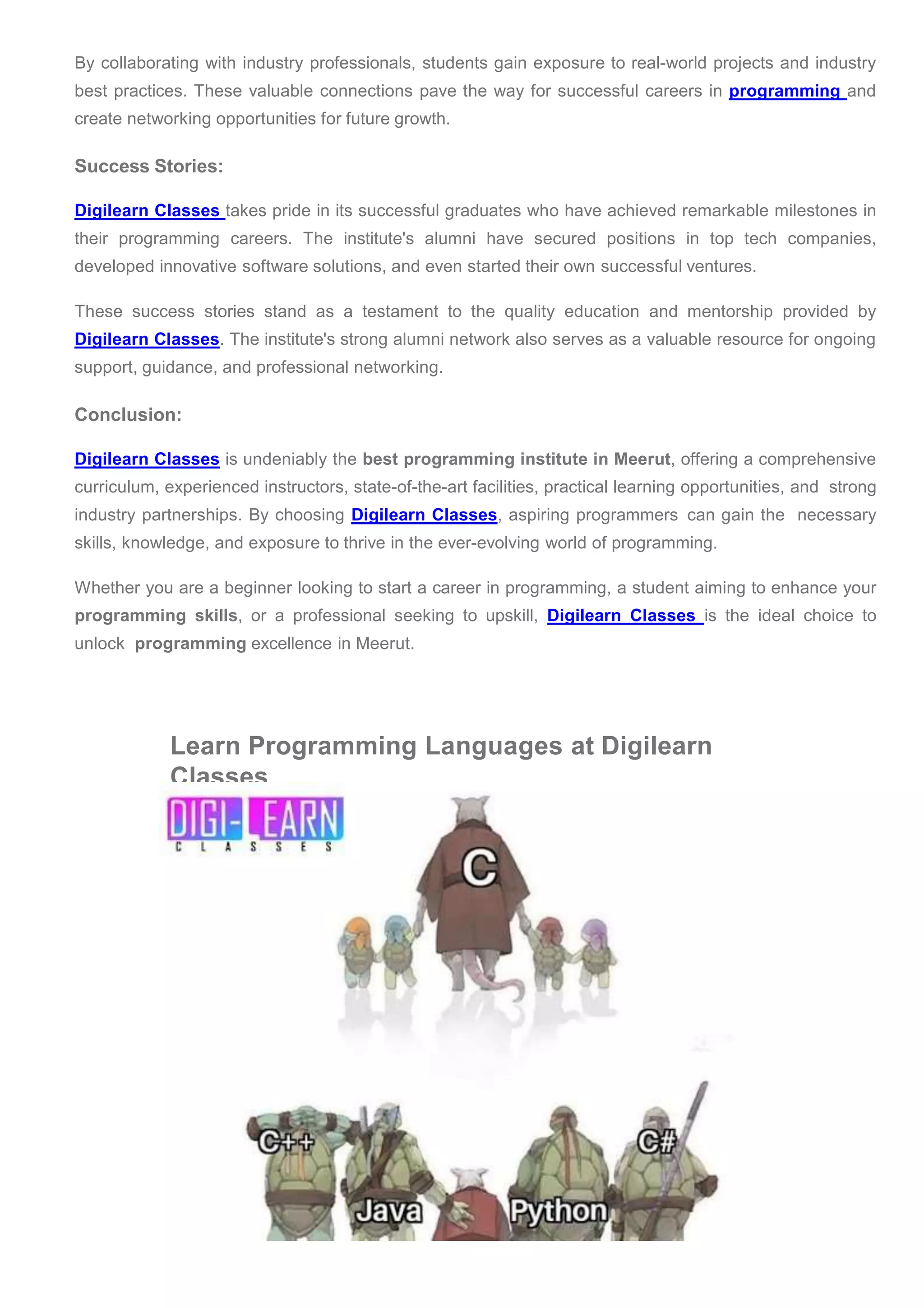 digilearn programming.pptx