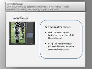 Dig imag unit 8 module 2 creating and saving alpha channels | PPT