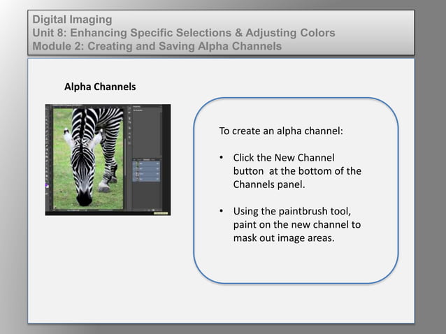 Dig imag unit 8 module 2 creating and saving alpha channels | PPT