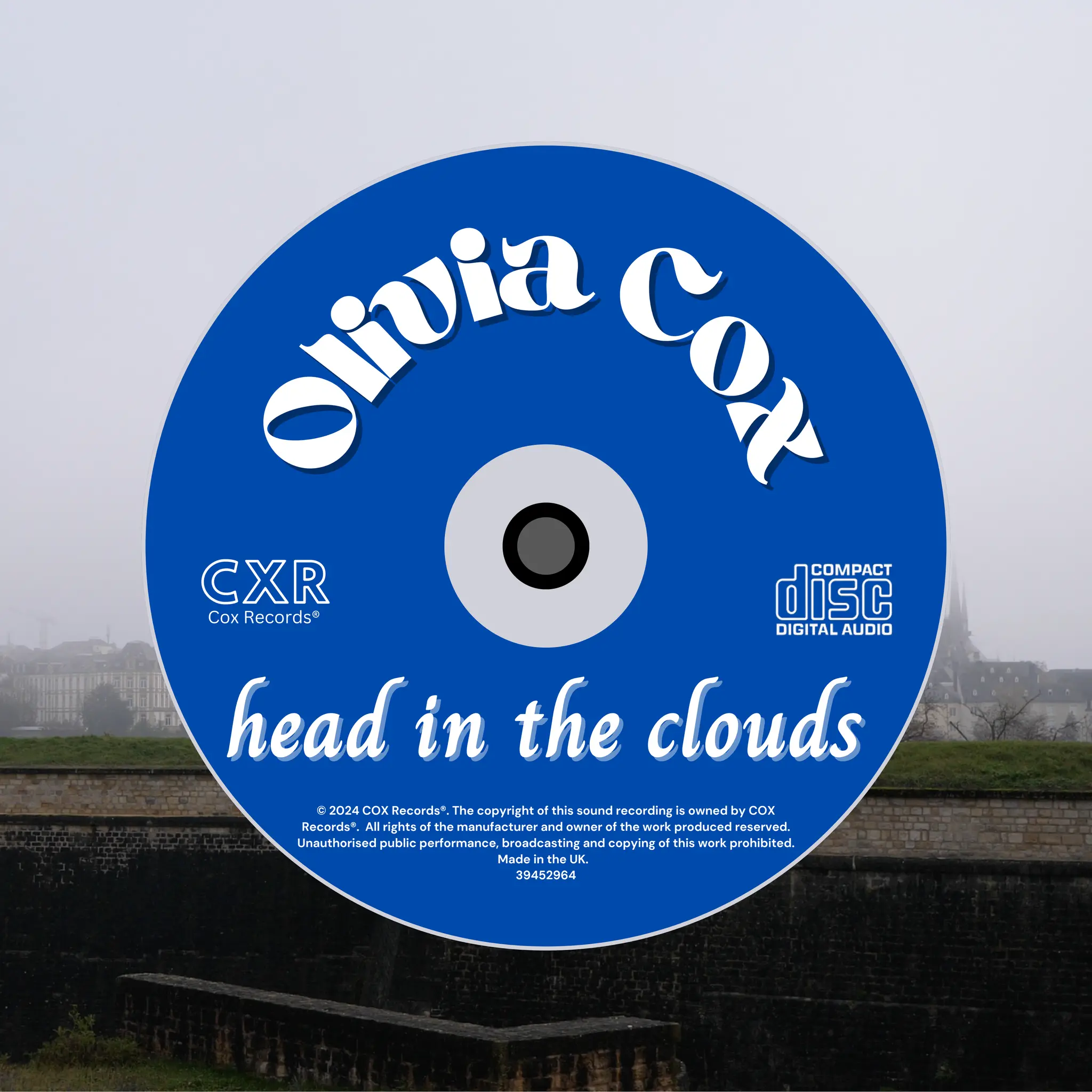 A2 Media Studies OC digipack process.pdf