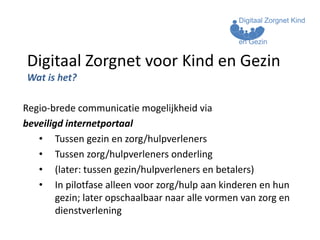 Digitaal zorgnet | PPTX