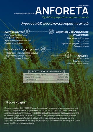 Κατάλογος Σπόρων Σιτηρών AGRIS | PDF