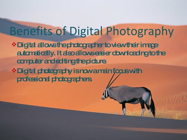 Digital Cameras Powerpoint | PPT
