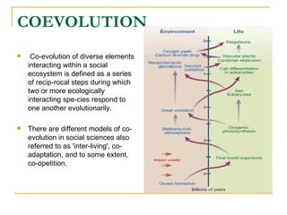 DIGITAL ECOSYSTEMS | PPT | Physics | Science