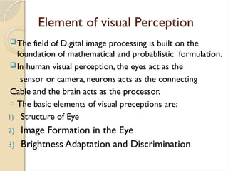 Digital-Image-processing elements of visual perception | PPTX