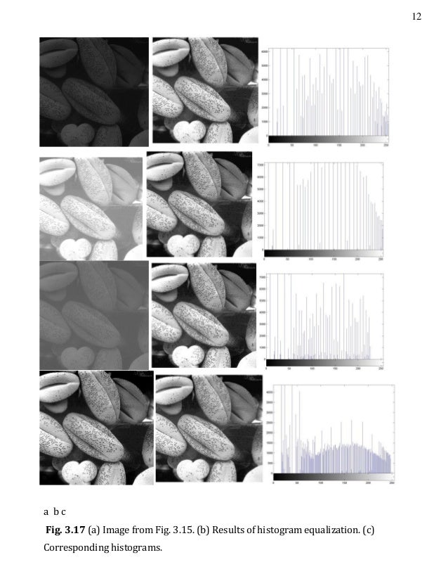 Digital Image Processing Using Matlab Basic Transformations Filters