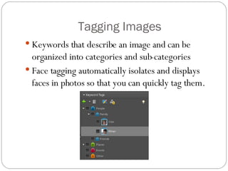 Digital Imaging | PPT