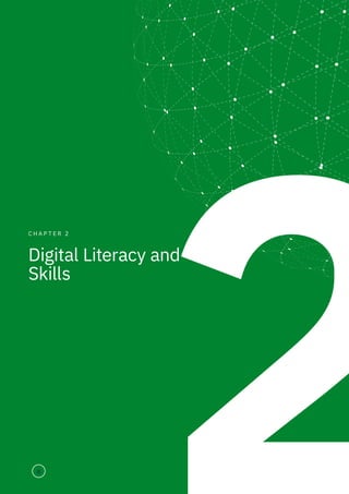 TheDigital-and-Information-Literacy-Framework.pdf