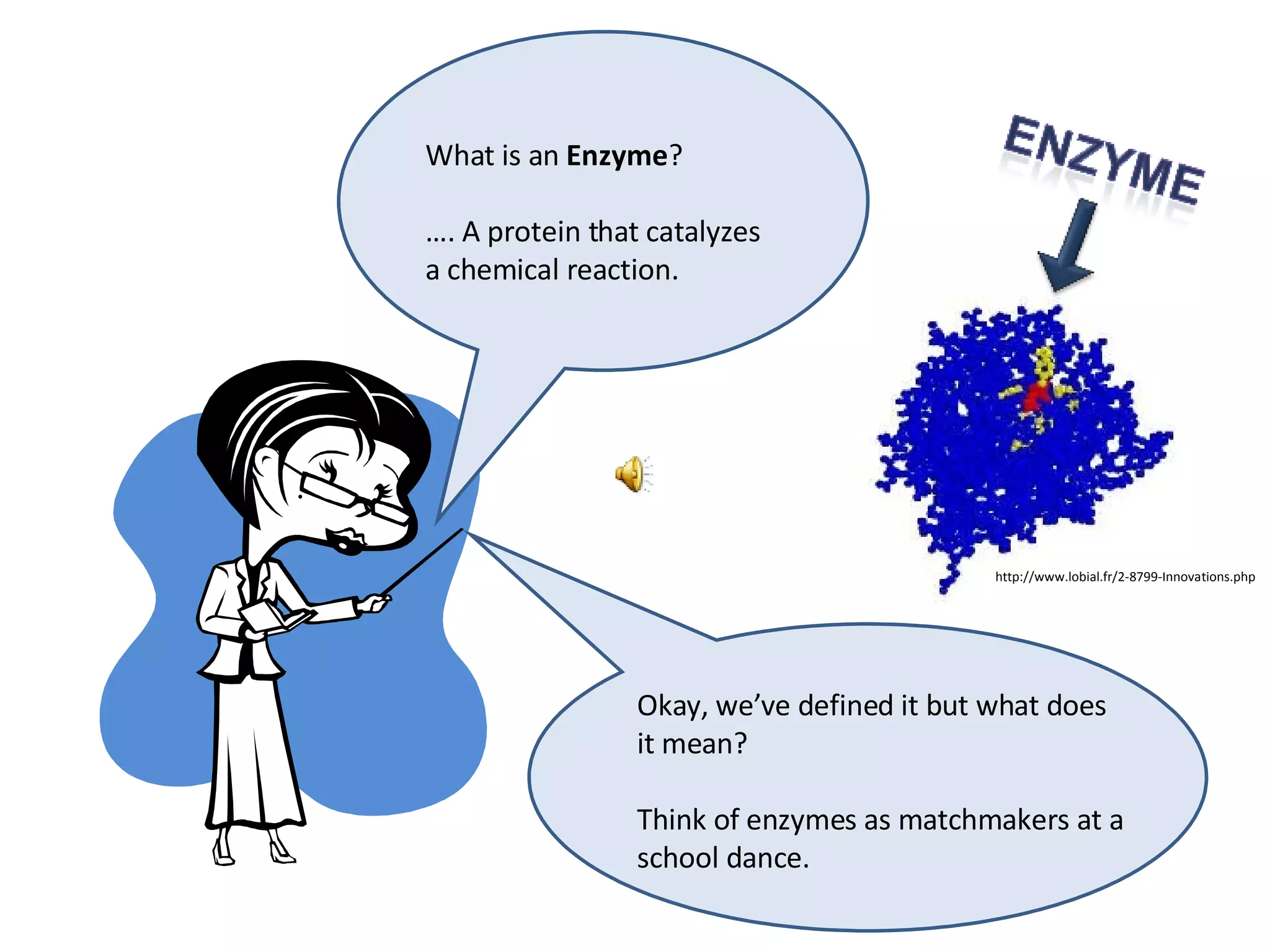 Digital Story- Enzymes | PPT