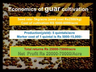 cultivation practices of guar/cluster bean | PPTX