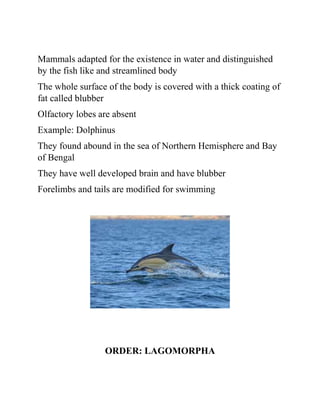 DIGITAL ALBUM MAKING - MAMMALS NS WORK PRESENTATION | PDF | Free Download