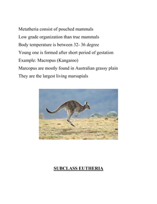 DIGITAL ALBUM MAKING - MAMMALS NS WORK PRESENTATION | PDF | Free Download