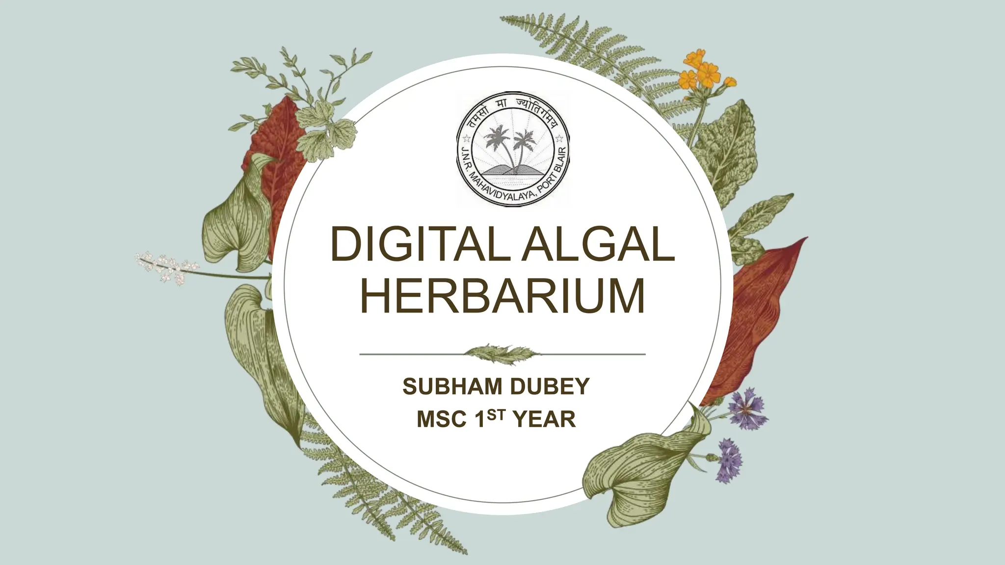DIGITAL ALGAL HERBARIUM subham.pptx