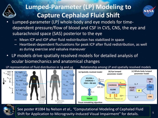 Computational Modeling and Simulation of Microgravity Induced Visual Impairment and Intracranial ...