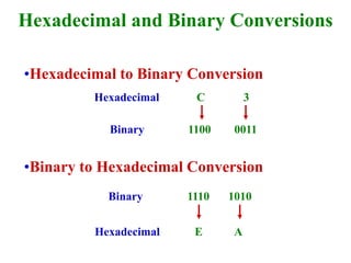 Digital basics | PPT