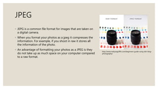 Digital camera basics | PPTX