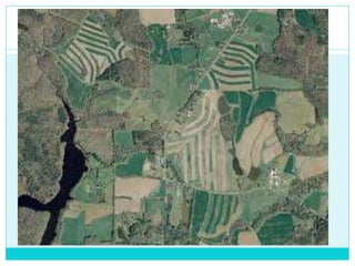 Digitalcartography | PPTX