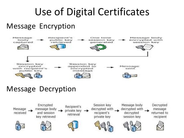 Digital certificates and information security